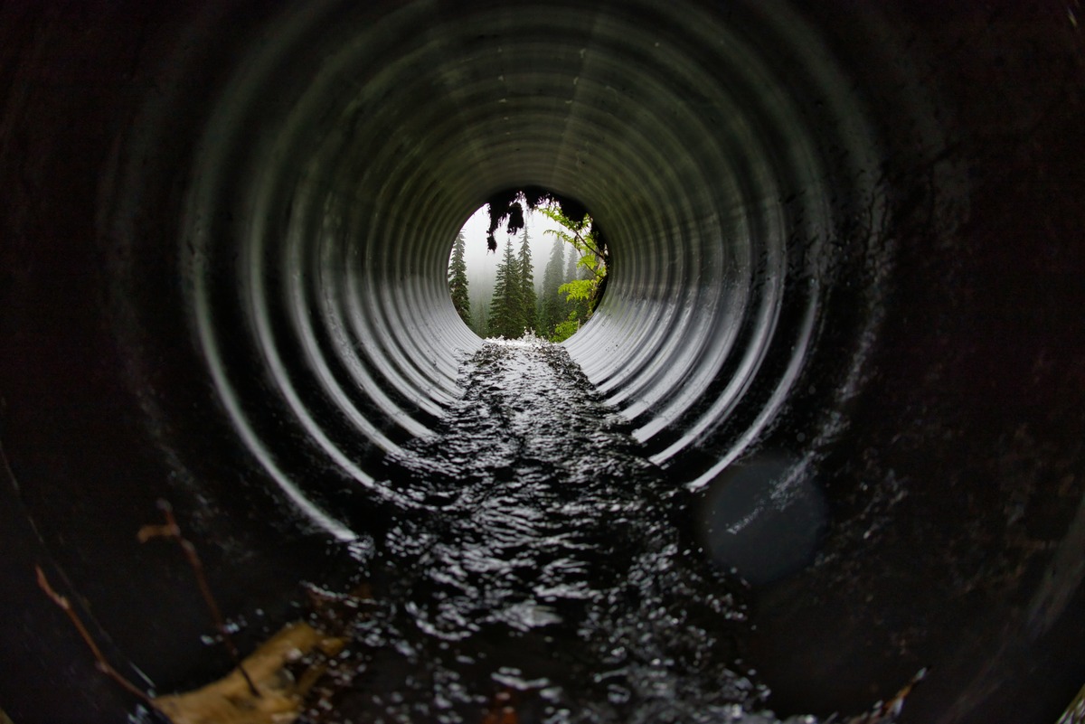 Tips for Maintaining Your Brisbane Home’s Sewer System